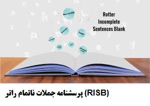 پرسشنامه جملات ناتمام راتر (RISB) - Hub WordPress Theme